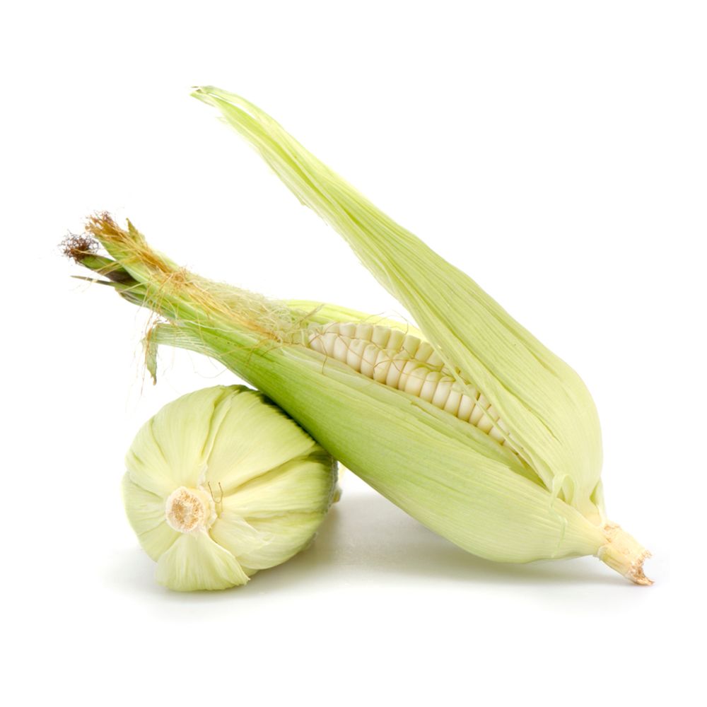 Choclo und - florayfauna