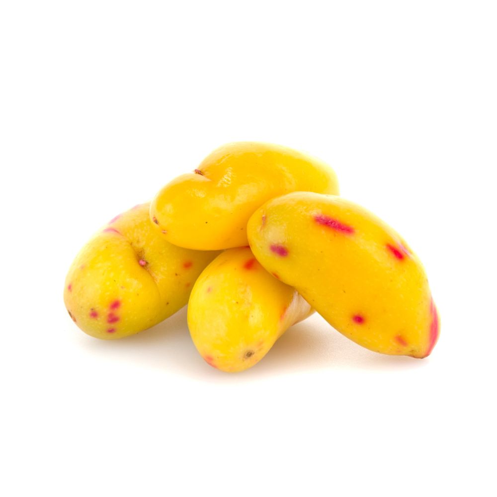 Olluco kg - florayfauna